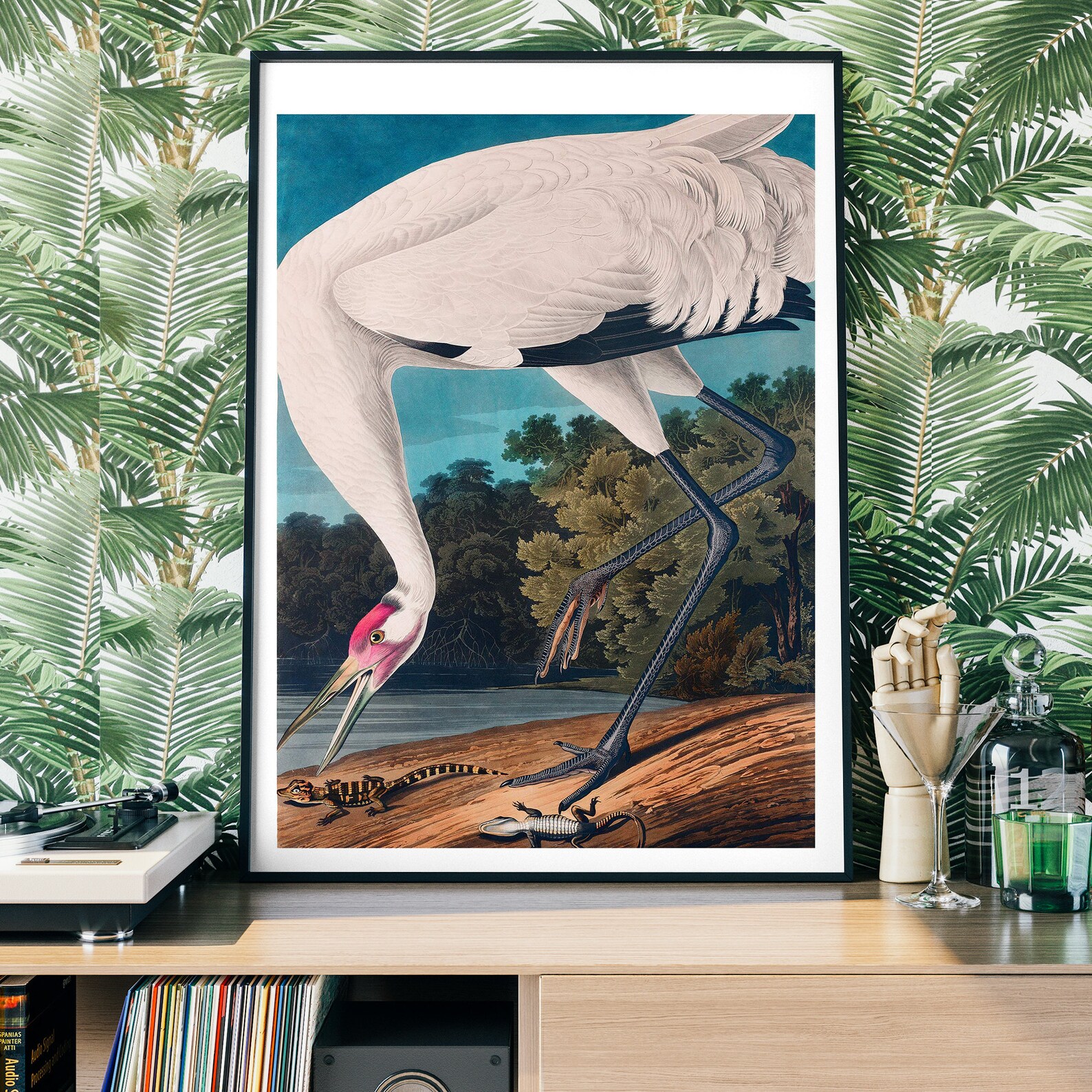 Audubon Whooping Crane Print — Antique Bird Wall Art - Etsy UK