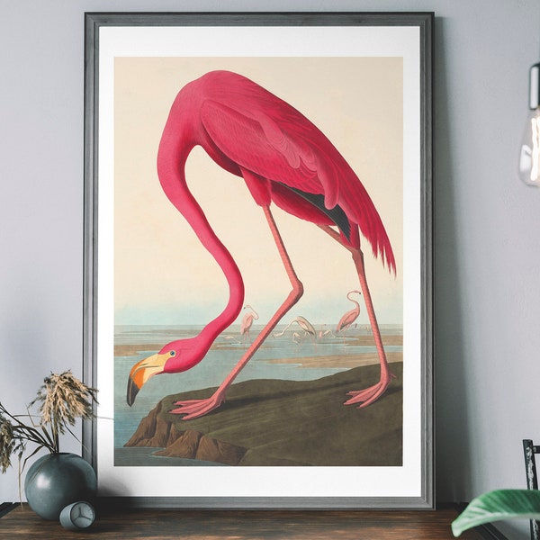 Pink Audubon - Etsy UK