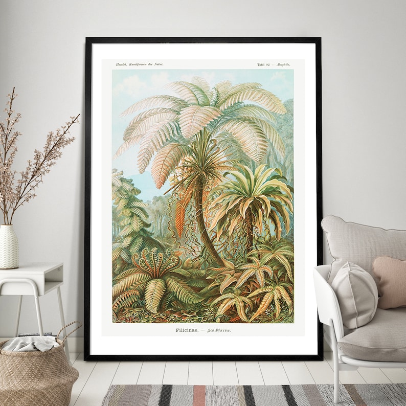 Vintage Ferns Art Print, Antique Lithograph by Ernst Haeckel, Antique ...