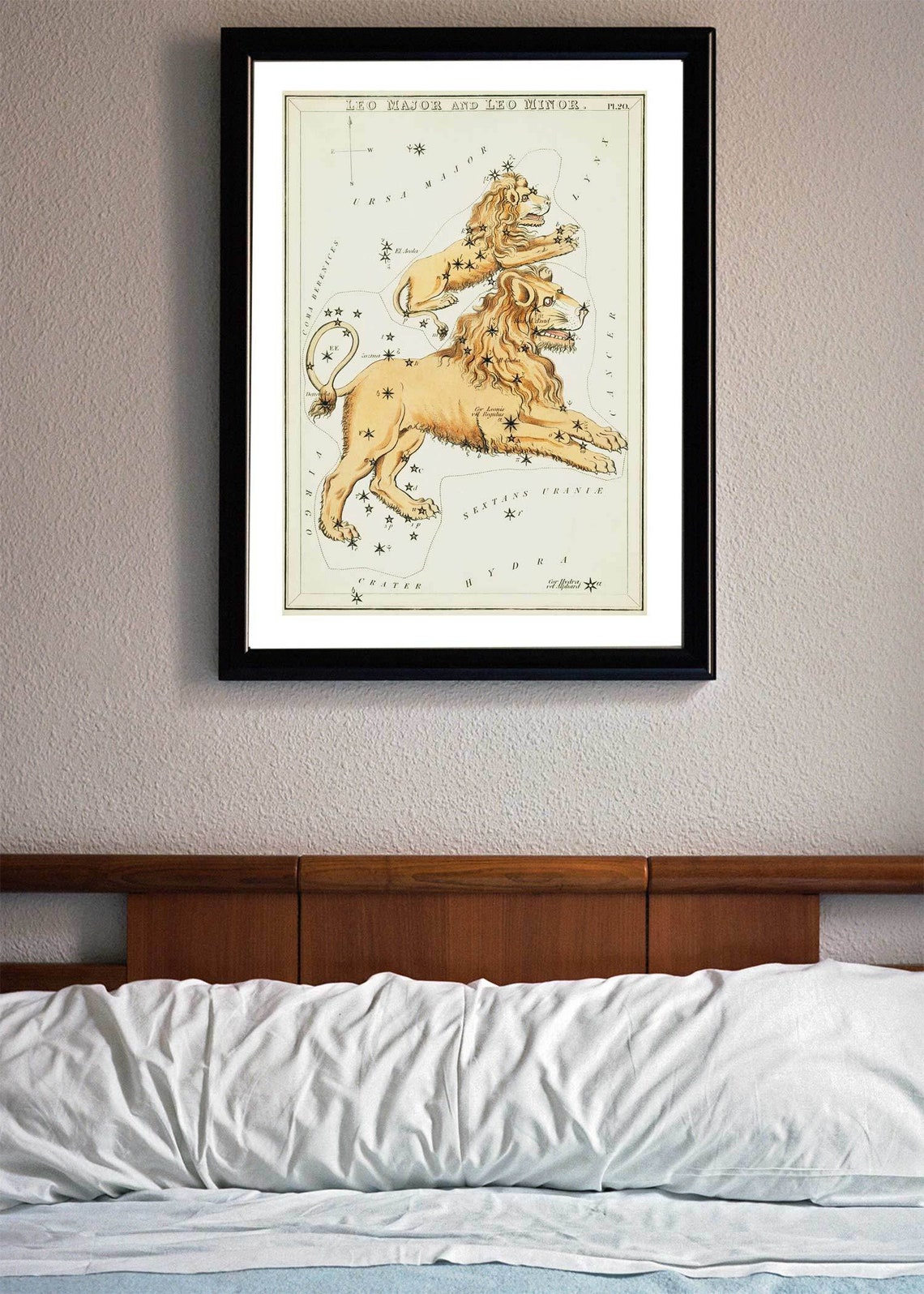 Leo Wall Art Antique Zodiac Decor Vintage Astrology Poster - Etsy