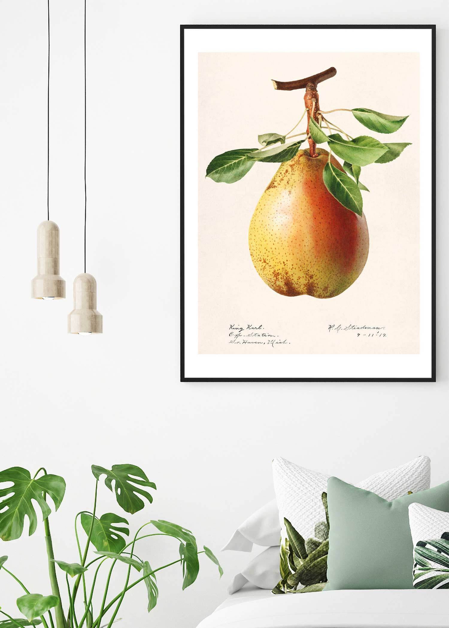 Vintage Pear Poster, Lithograph Print, Antique Botanical, Minimal Wall ...
