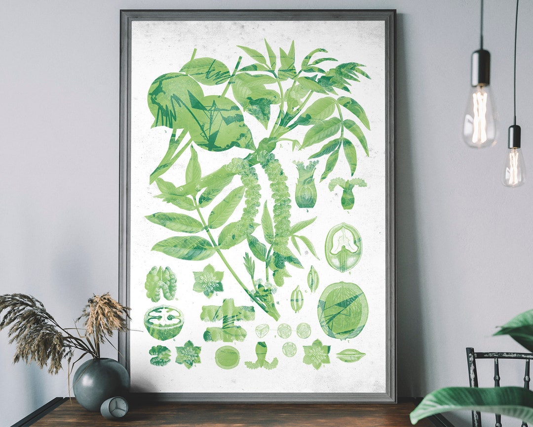 Vintage Flowers Chart, Plant Diagram, Botanical Wall Decor, Floral ...