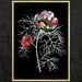 Botanical Abstract Print – Flower Collage, Floral Print, Flower Street ...
