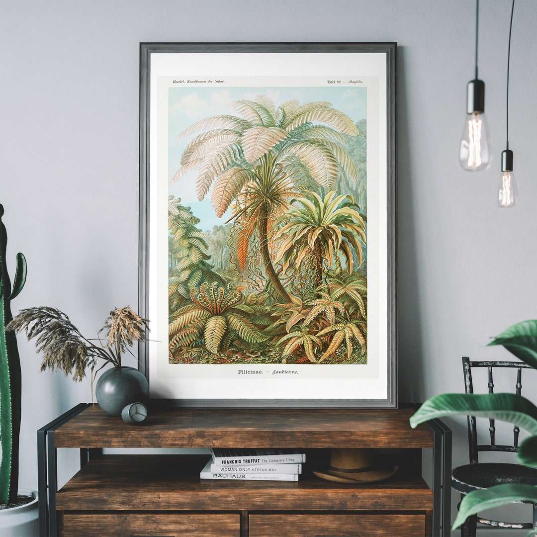 Vintage Ferns Art Print, Antique Lithograph by Ernst Haeckel, Antique ...