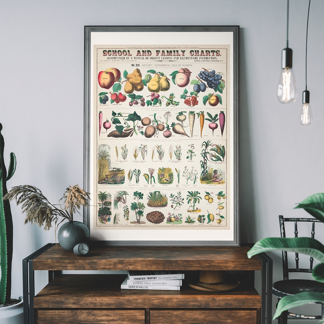 Vintage Botanical Print, Antique Botany Chart, Nature Art Print, Fruit ...