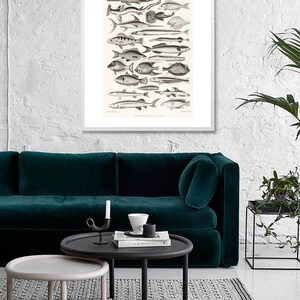 Vintage Fish Art Print, Antique Ocean Diagram Wall Art, Victorian Art ...