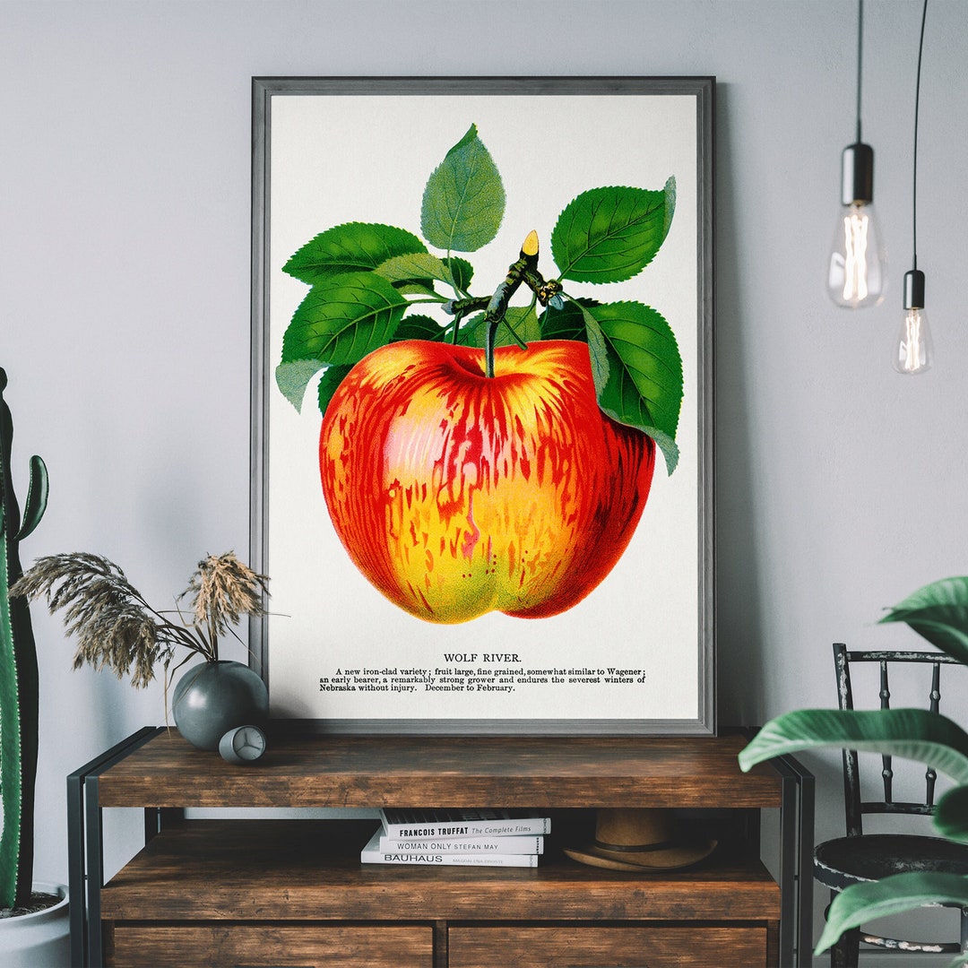Vintage Apple Poster, Lithograph Print, Antique Botanical Art Print ...