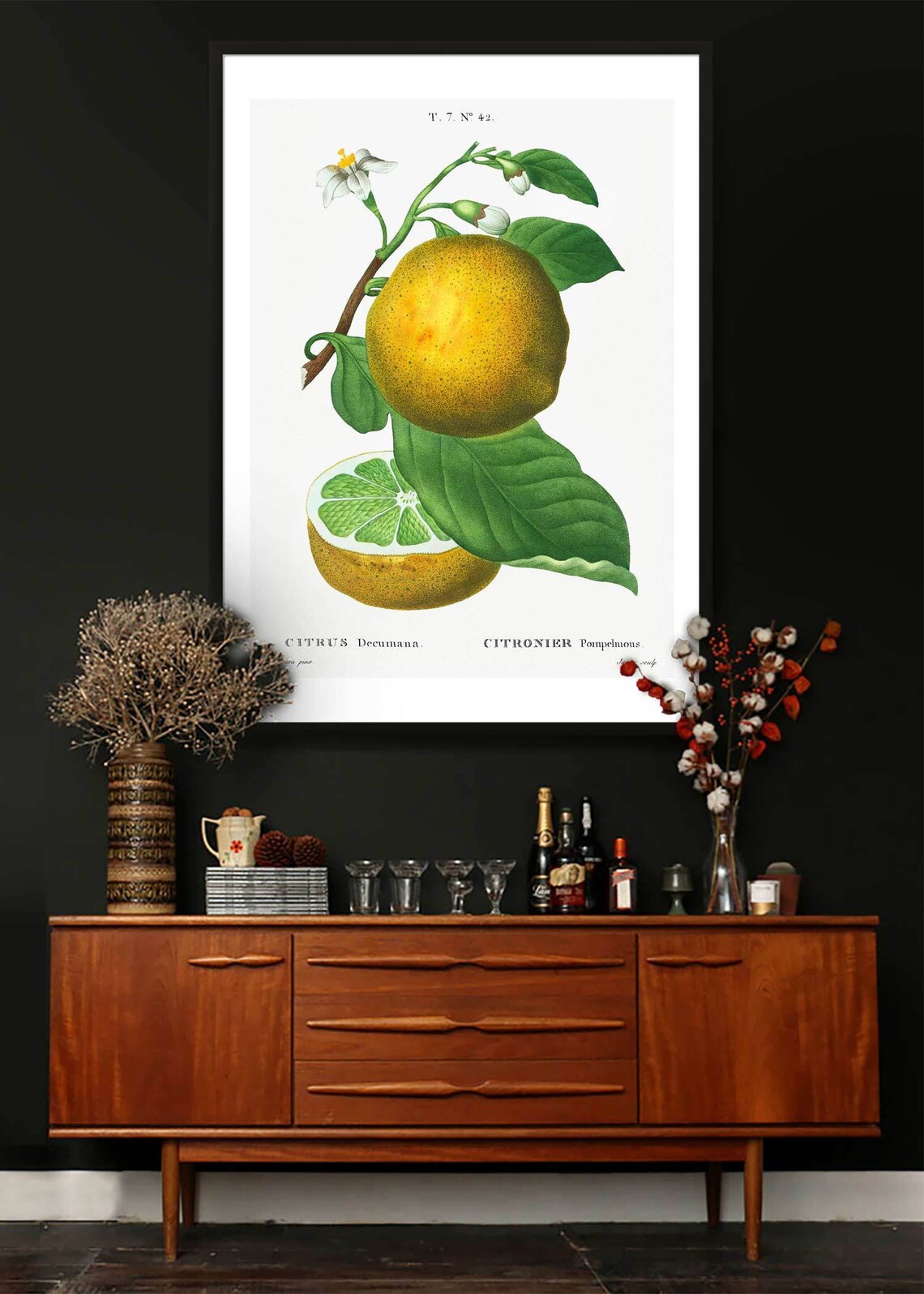 Vintage Grapefruit Poster – Lithograph Print, Antique Botanical ...