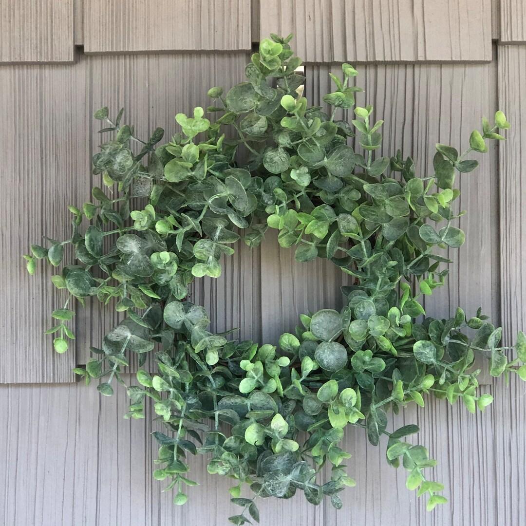 10 Mini Eucalyptus Grapevine Wreath, Mini Greenery Wreath, Neutral ...
