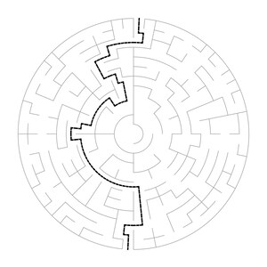 Circular Maze is for Who Really Enjoy a Challenge. This Book Contains ...