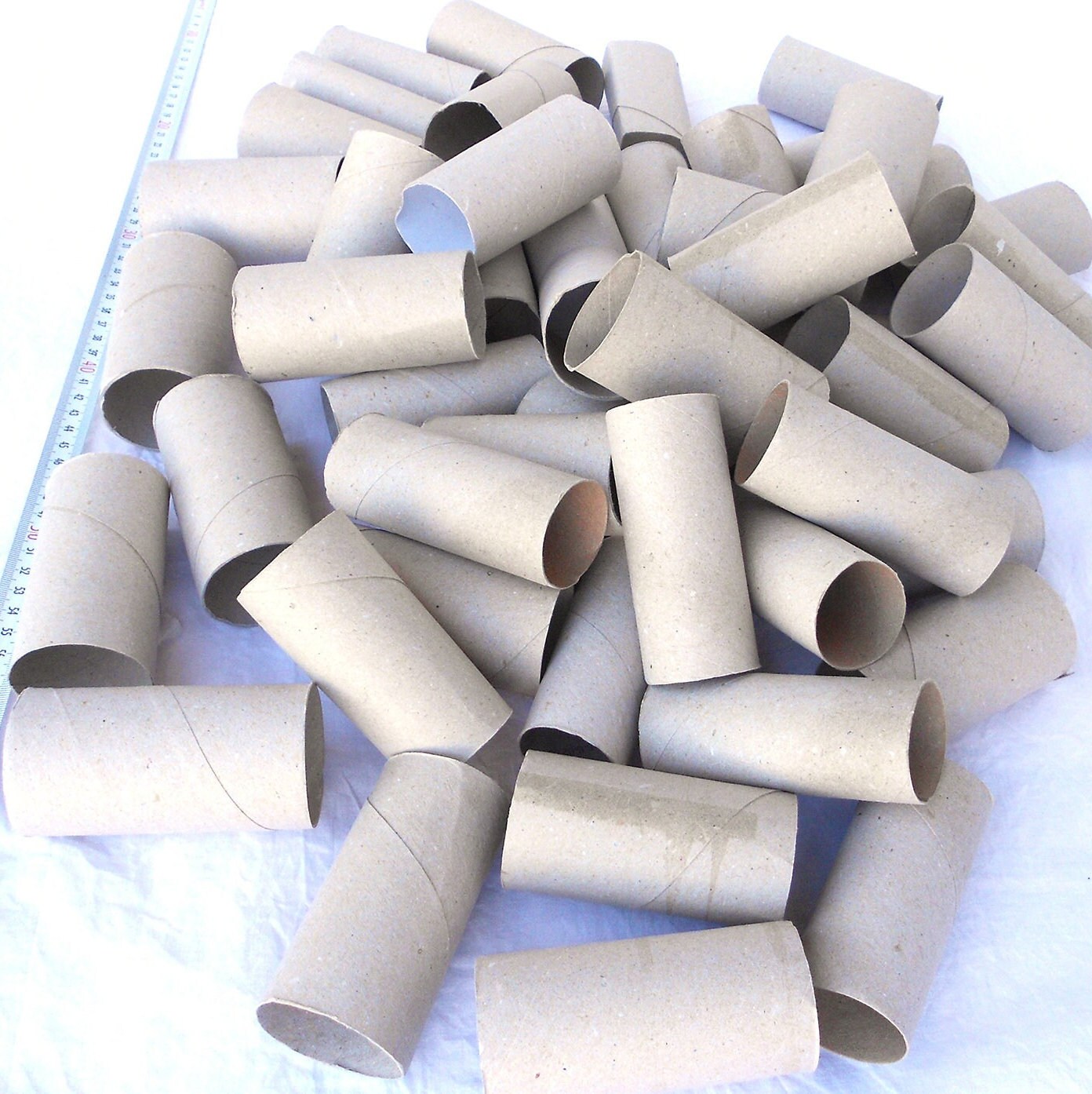 Empty Toilet Paper Roll 10 Empty Toilet Paper Rolls Tubes Craft Art