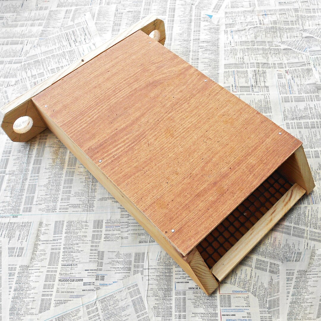 Bat Box Bat House Outdoor Decor Wall Educational Toys for Kids, Wooden ...