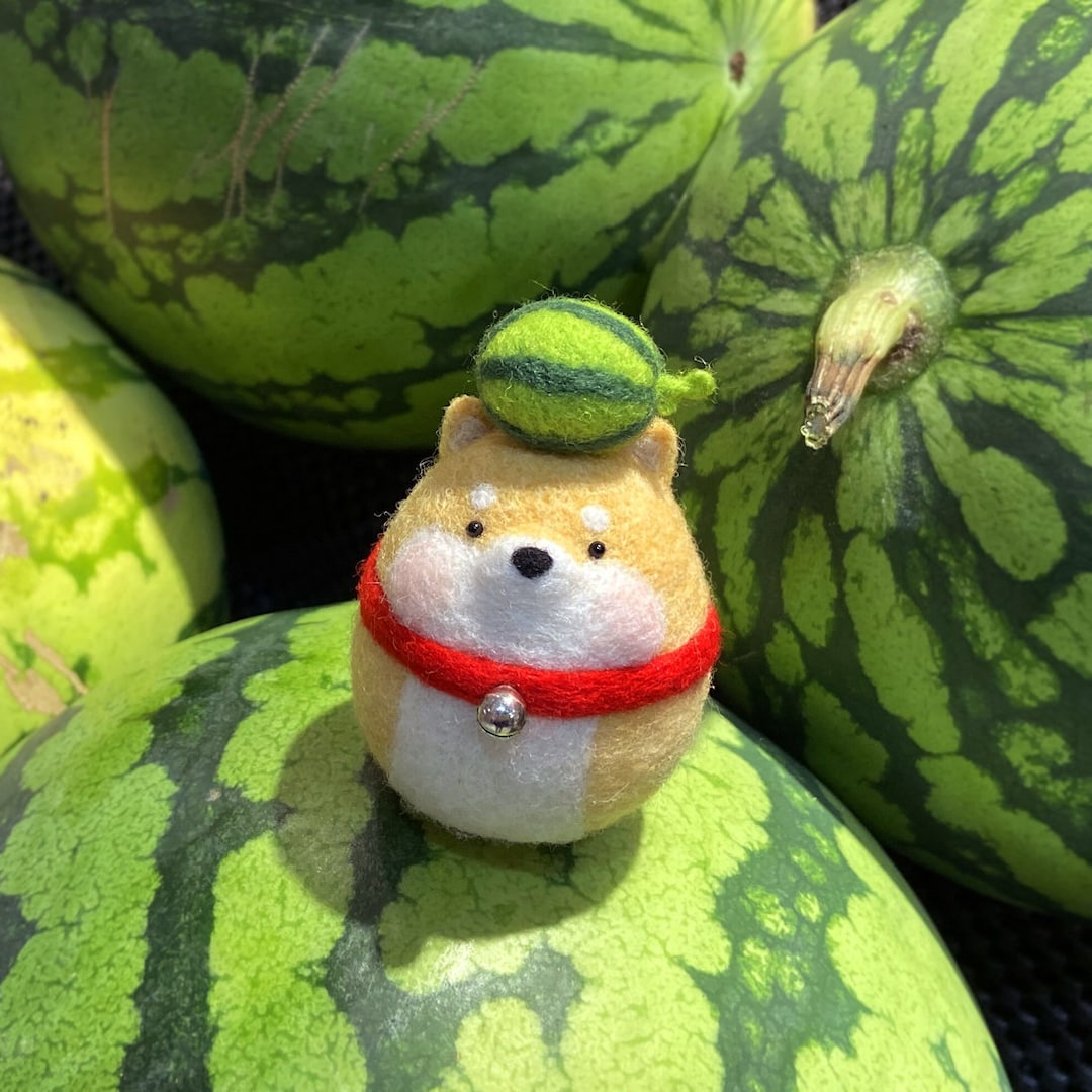 Needle Felted Shiba Inu Samoyed Corgi Watermelon Ornament: Wool Dog ...