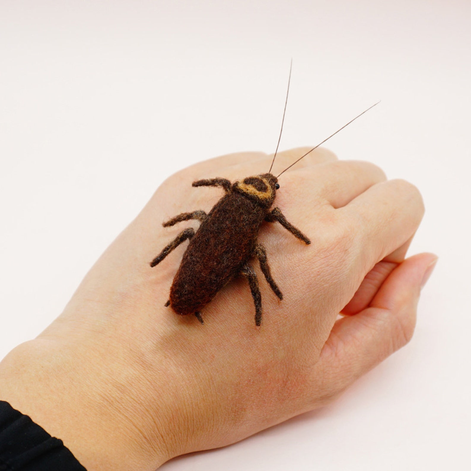 Needle Felt Cockroach Brooch Pin Fridge Magnet Hairpin | Etsy