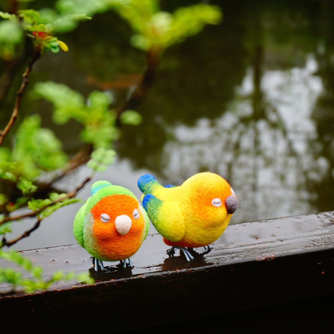 Needle Felted Parrot Phone Case Phone Cover, X'mas Gifts Animal Lovers ...