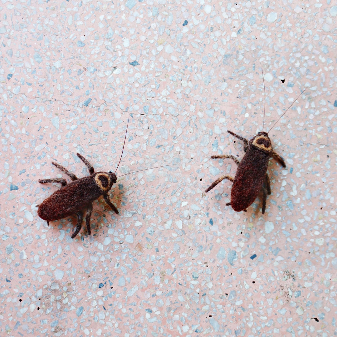Needle Felt Cockroach Brooch Pin Fridge Magnet Hairpin, Feltcraft Funny ...