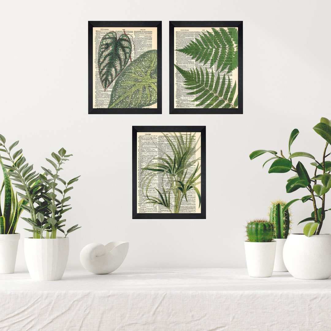 Botanical Dictionary Print, Botanical Wall Art, Botanical Art Print ...