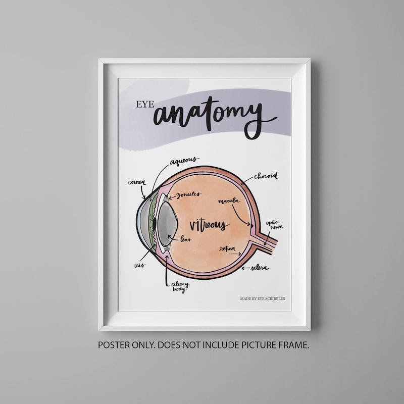Optometry Wall Art - Etsy