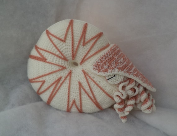 Crochet NAUTILUS Shell Amigurumi Nautilus Plush Crochet Sea - Etsy