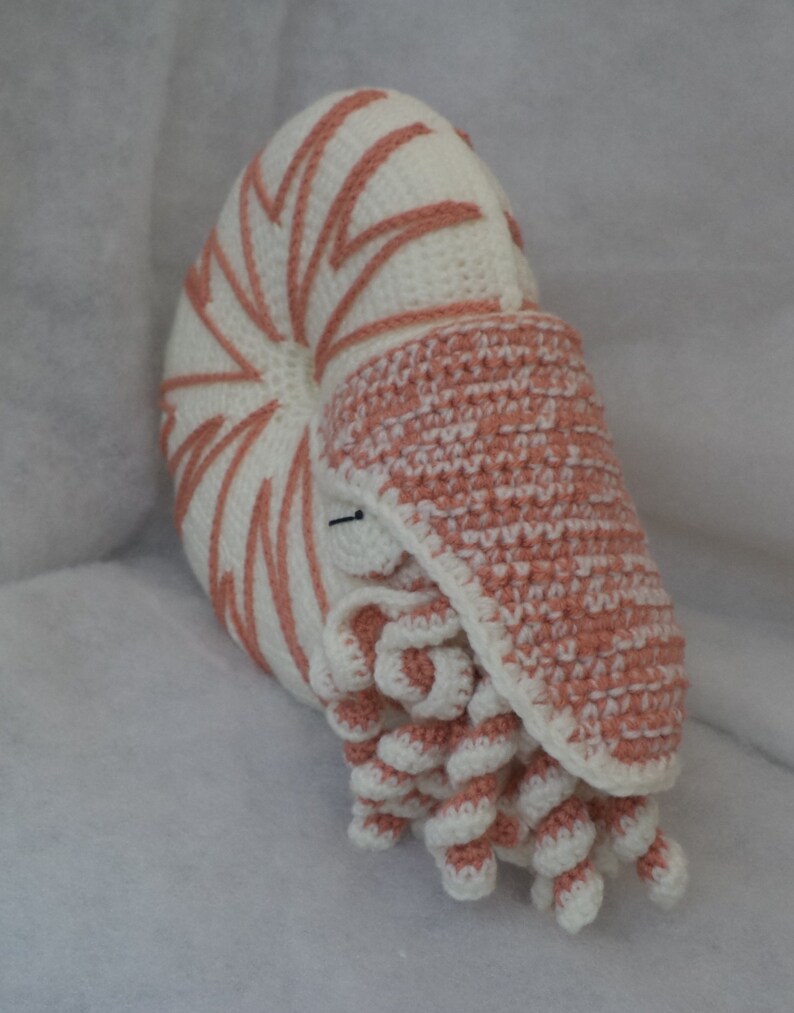 Crochet NAUTILUS Shell Amigurumi Nautilus Plush Crochet Sea - Etsy