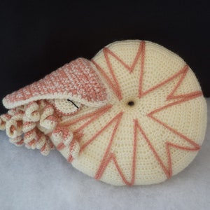 Crochet NAUTILUS Shell, Amigurumi, Nautilus Plush, Crochet Sea Shell ...