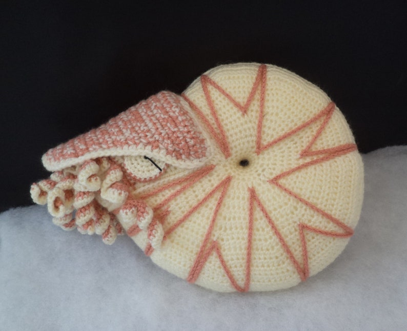 Crochet NAUTILUS Shell Amigurumi Nautilus Plush Crochet Sea | Etsy