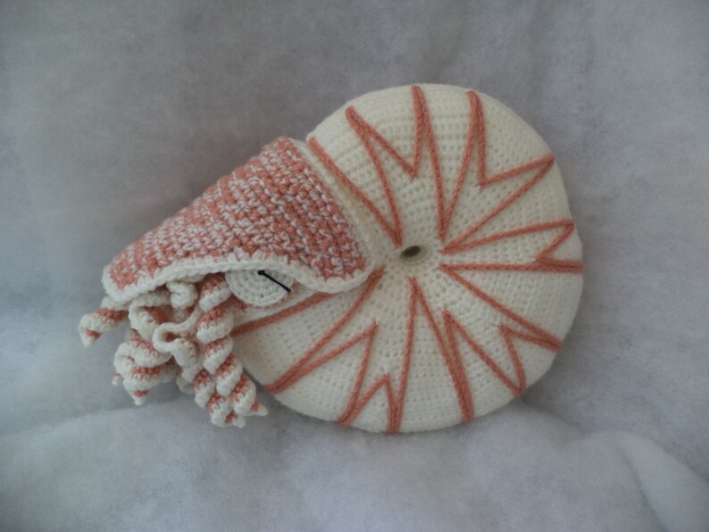 Crochet NAUTILUS Shell Amigurumi Nautilus Plush Crochet Sea | Etsy
