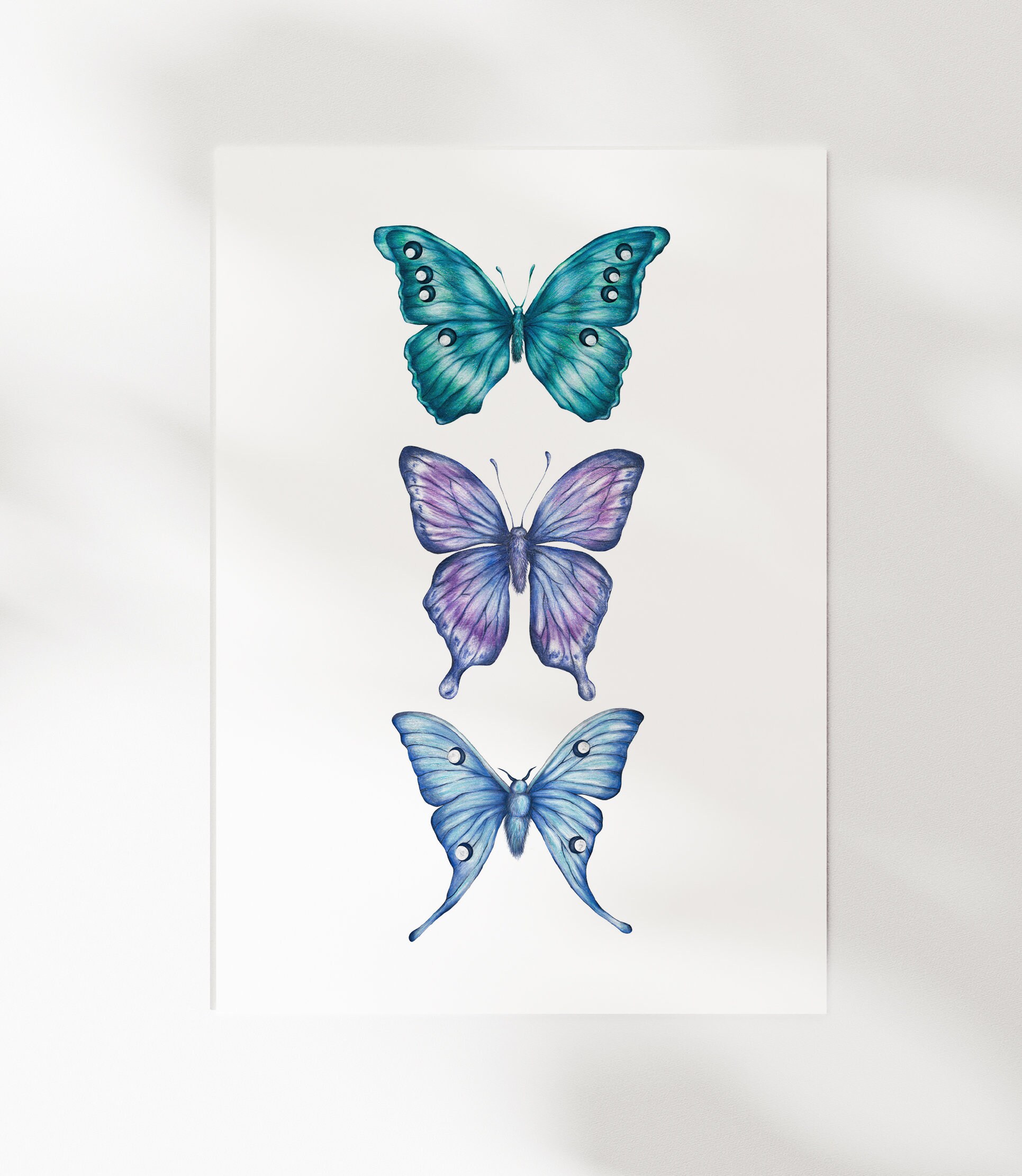 Butterflies A3 Illustration Botany, Nature, Cabinet of Curiosities ...