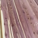 7/8" Aromatic Eastern Red Cedar Boards, #1 Boards, Planed and Squared ...