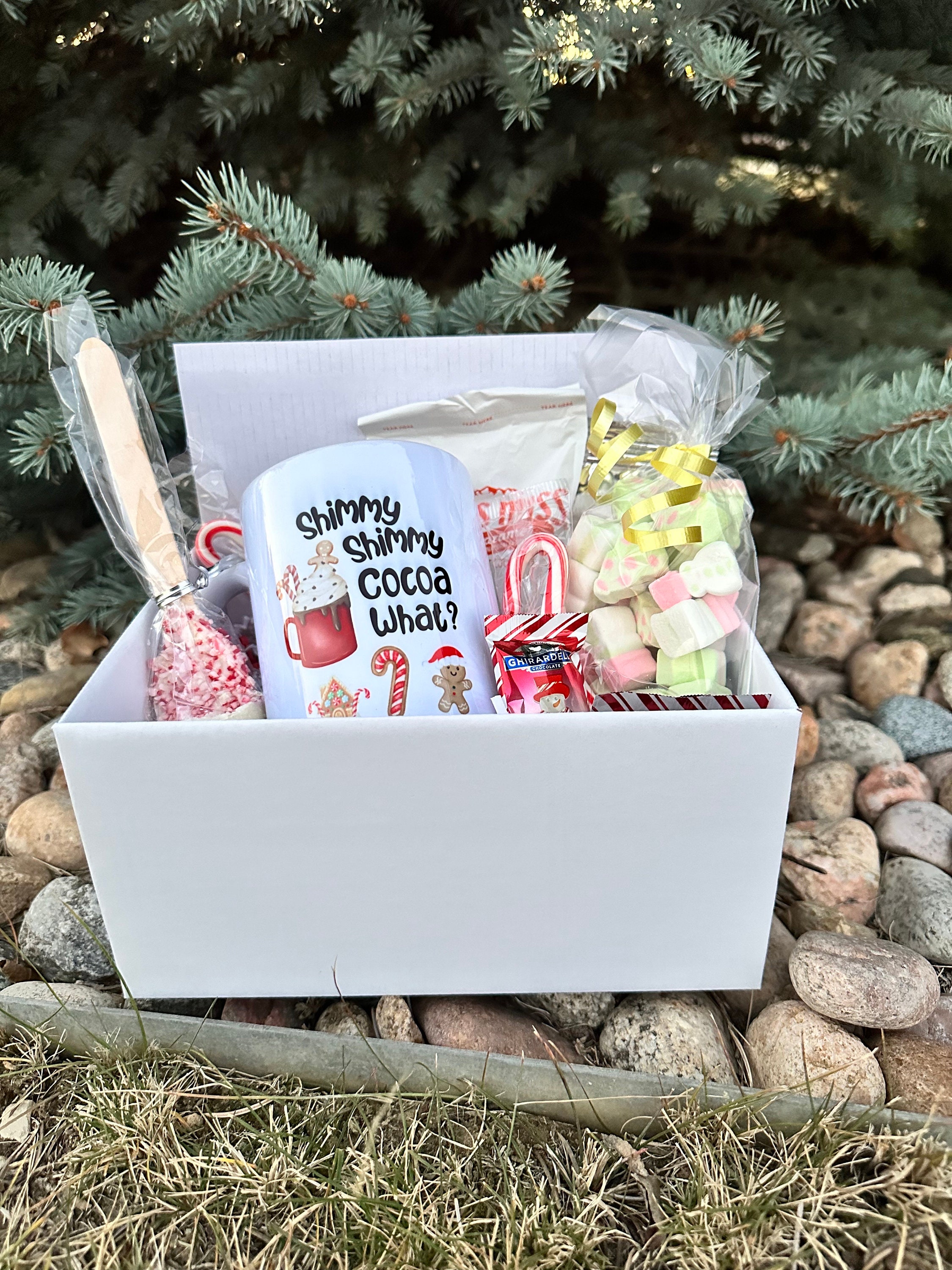Hot Cocoa Box, College Student Care Package, Friend Gift, Coworker Gift ...