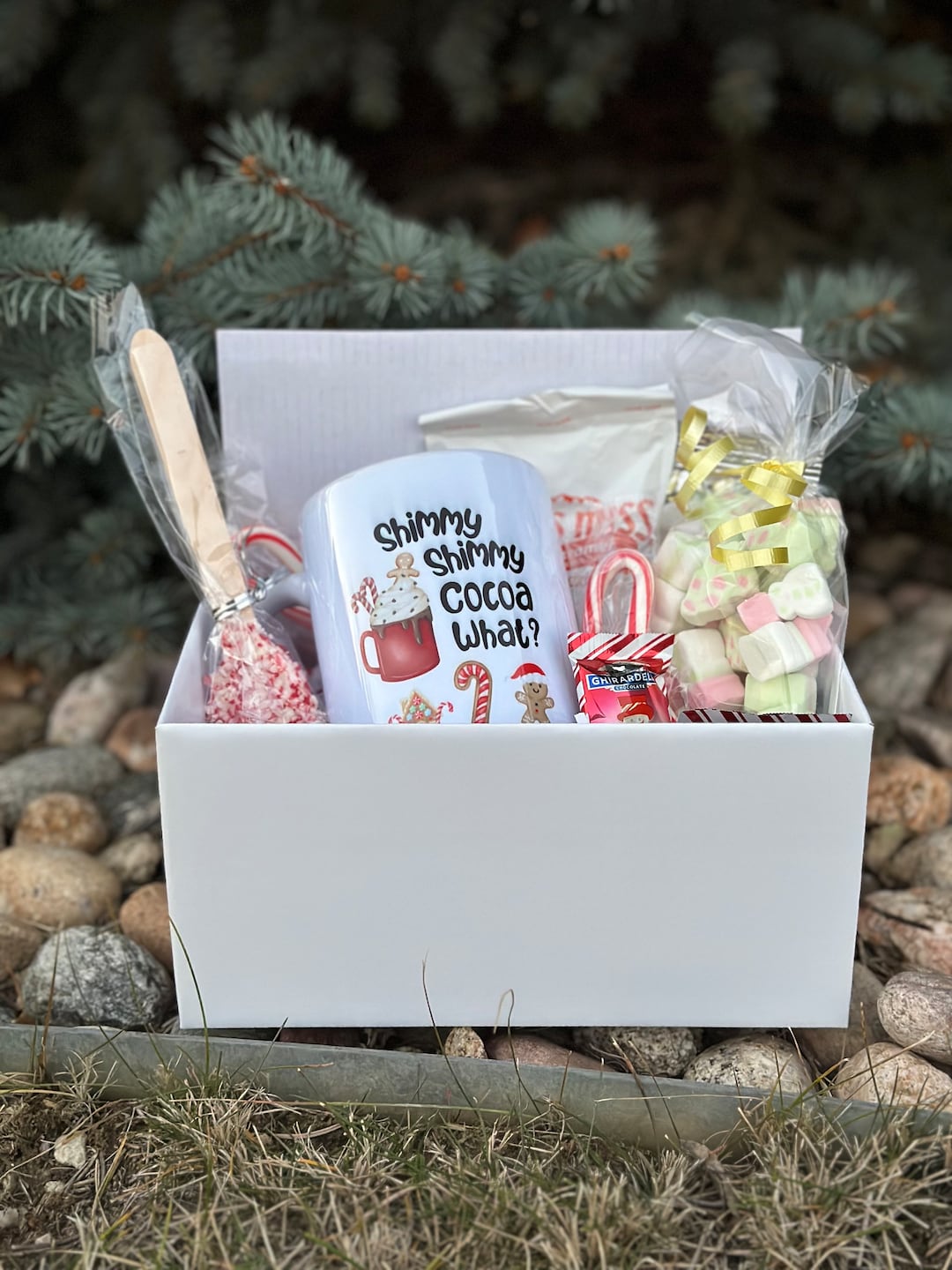Hot Cocoa Box, College Student Care Package, Friend Gift, Coworker Gift ...