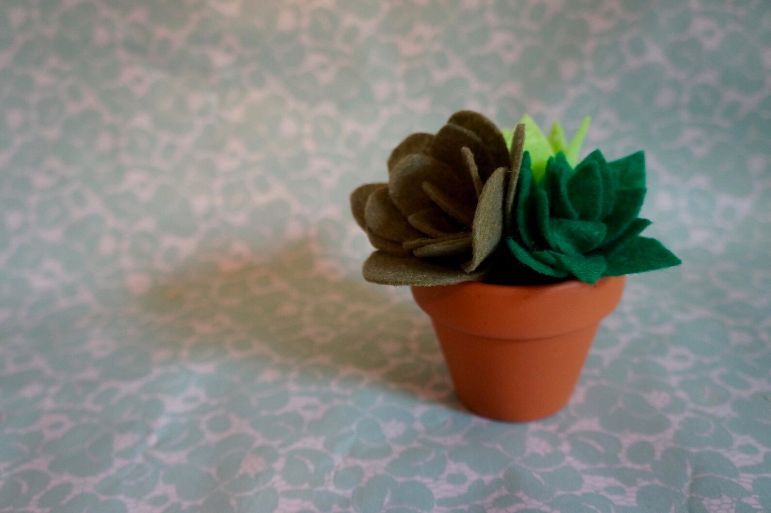 Felt Succulent Craft Kit DIY | Etsy