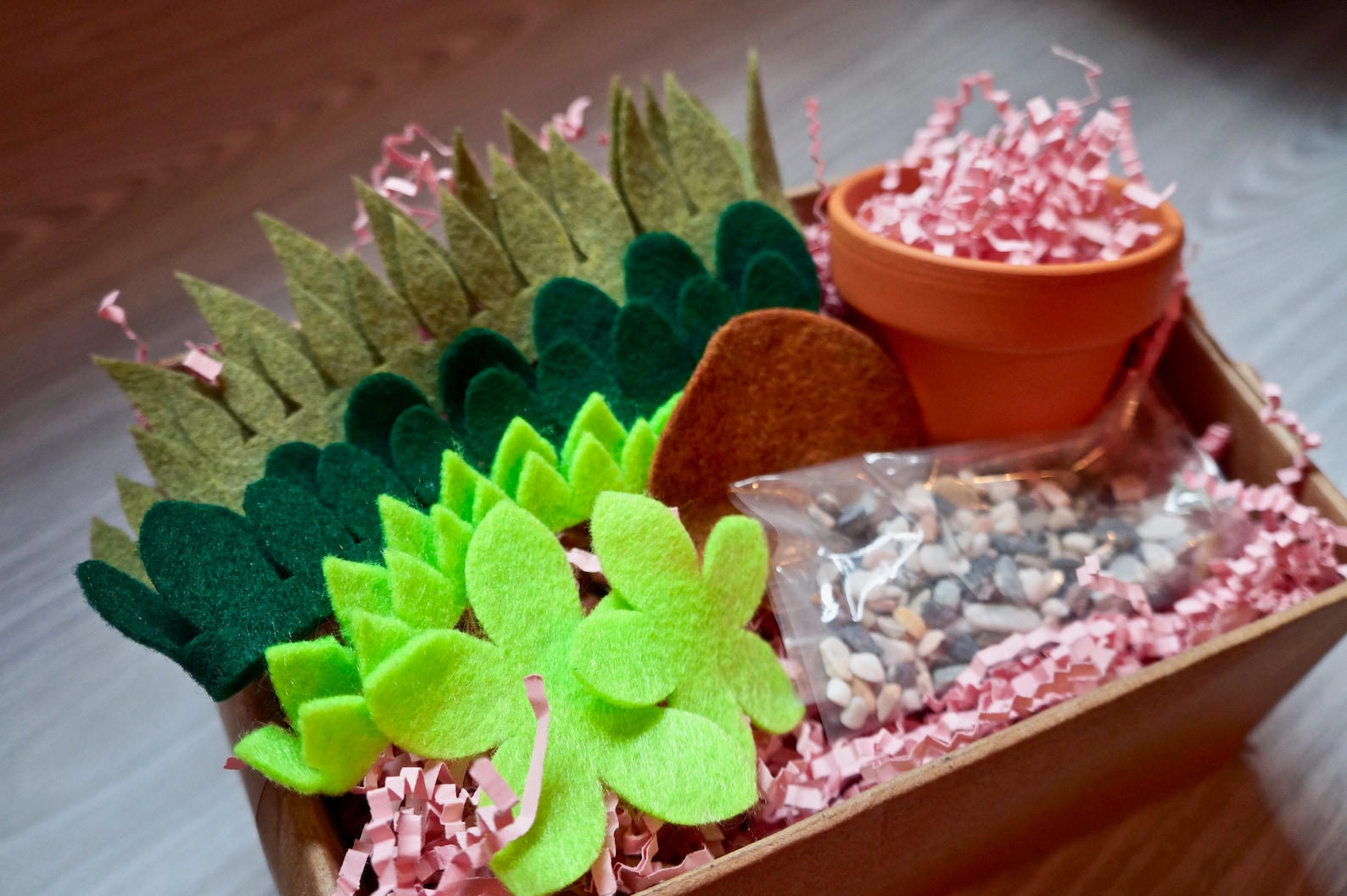 Felt Succulent Craft Kit DIY | Etsy