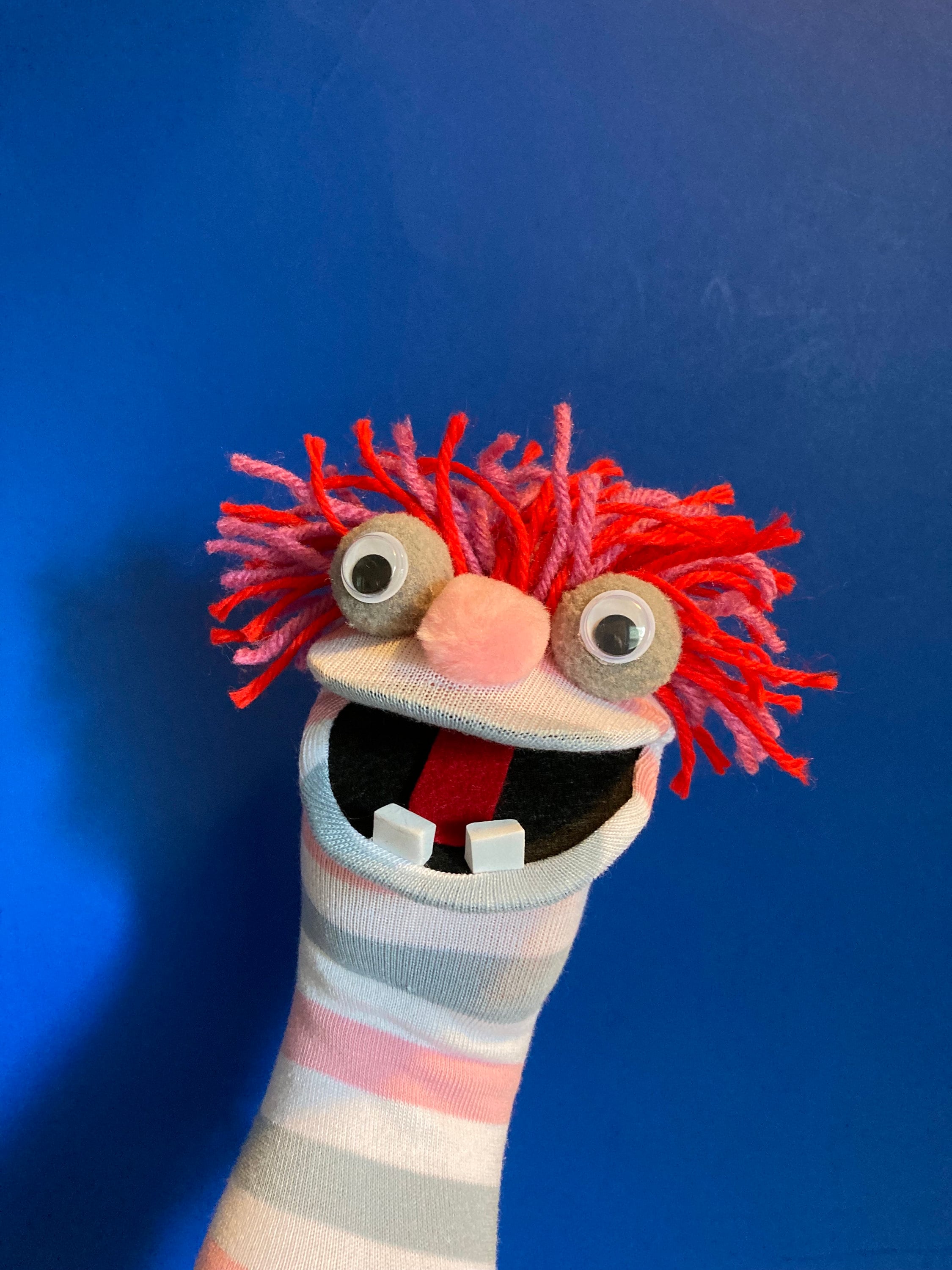 Sock Puppet
