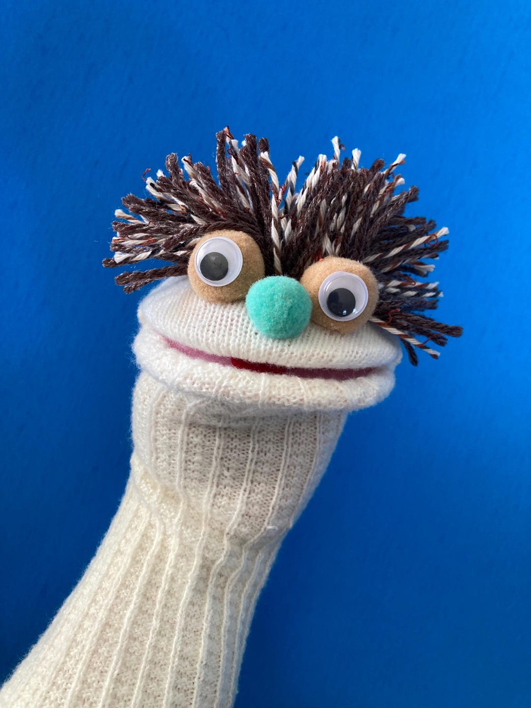My Best Buddy Sock Puppet - Etsy