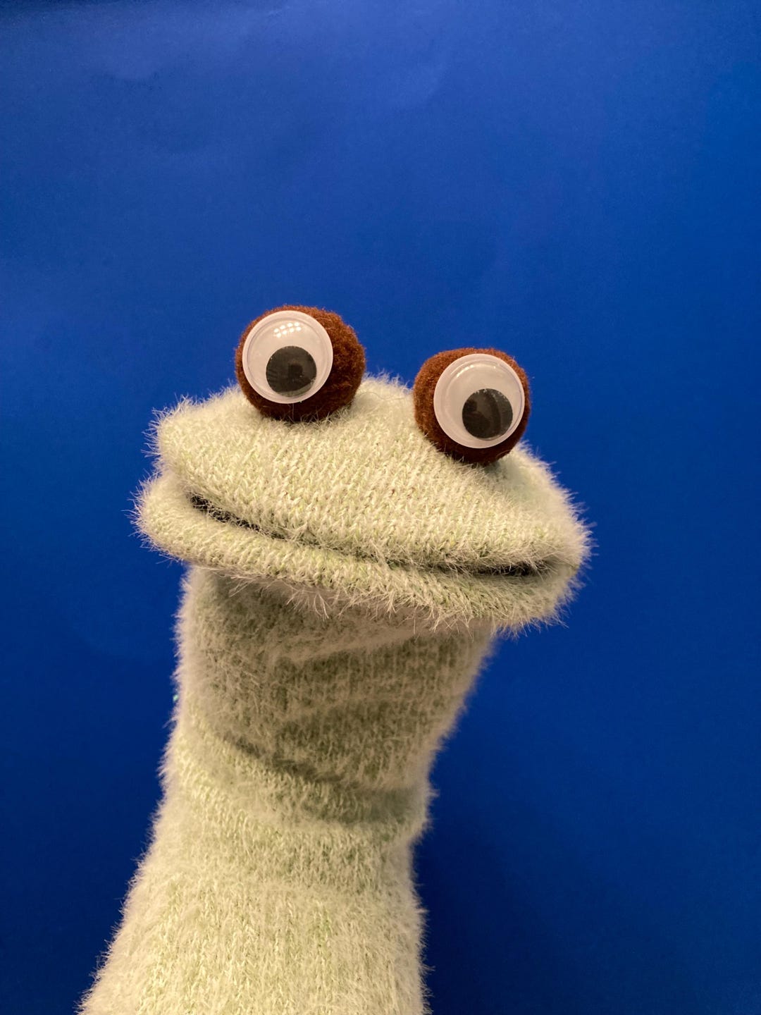 Fuzzy Green Sock Puppet - Etsy