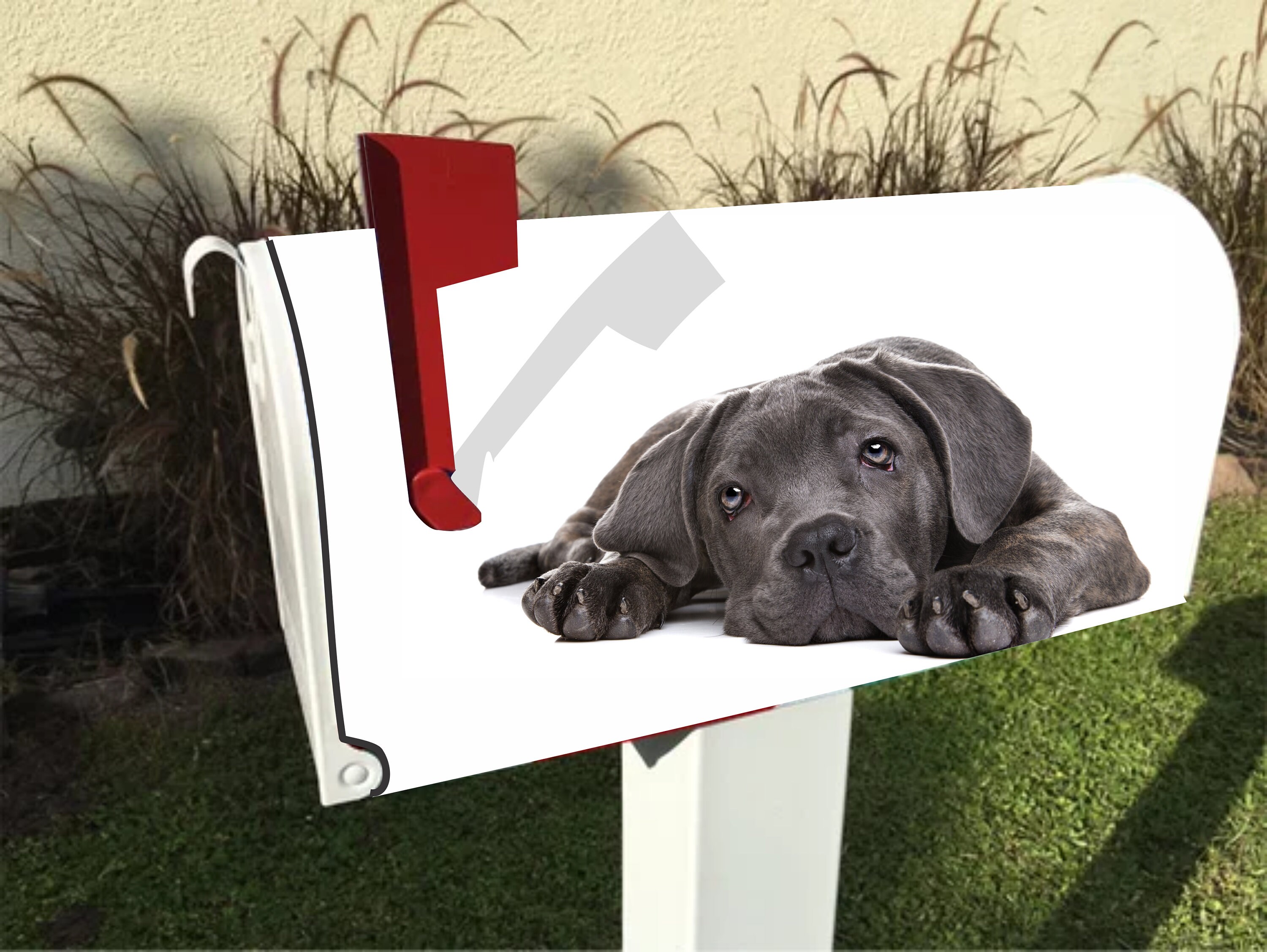 Labrador Puppy Just Chillin' as Your New Mailbox Cover W/free Shipping ...