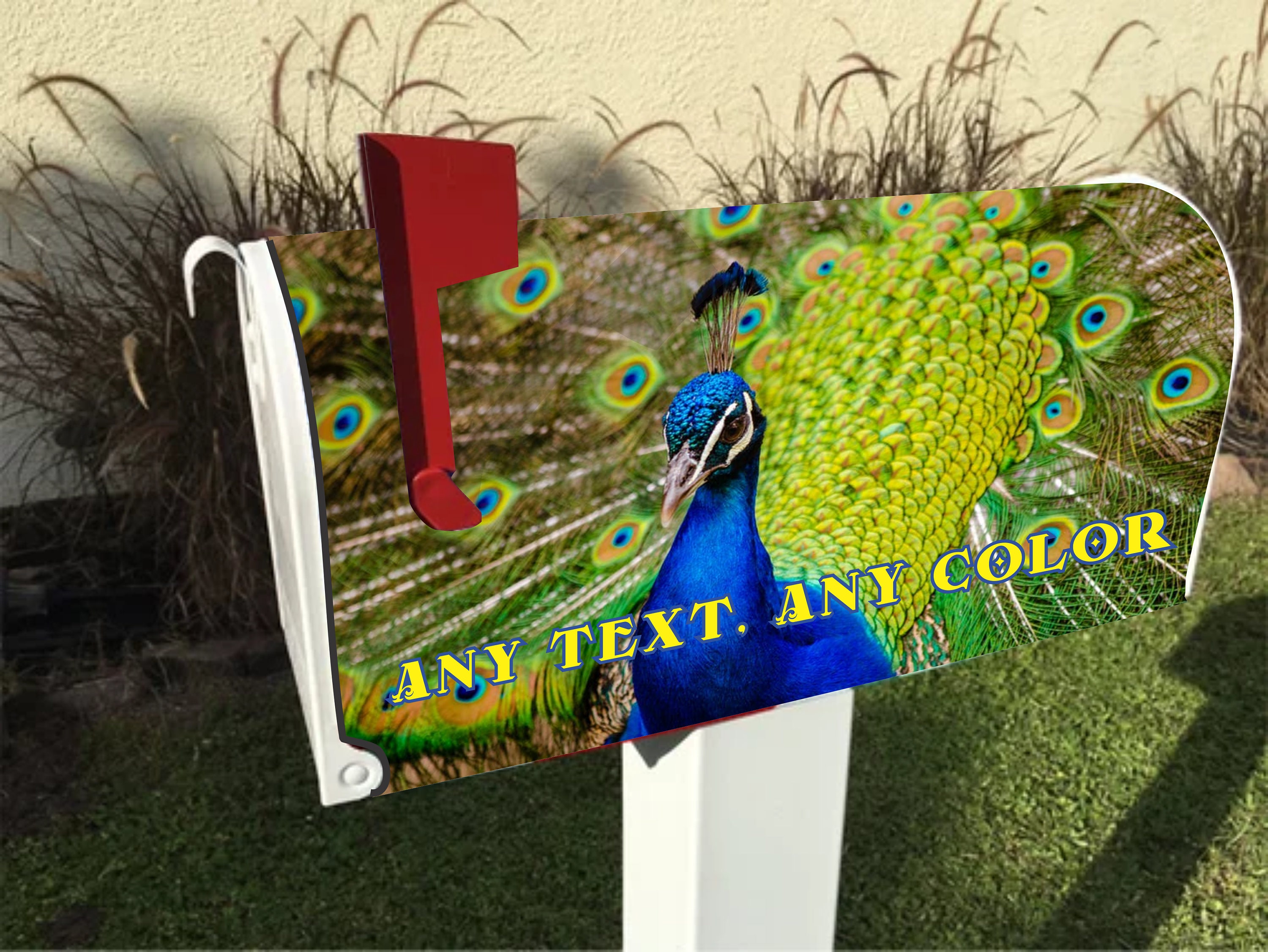 Proud Peacock High Resolution Magnetic Mailbox Cover W/free Shipping ...