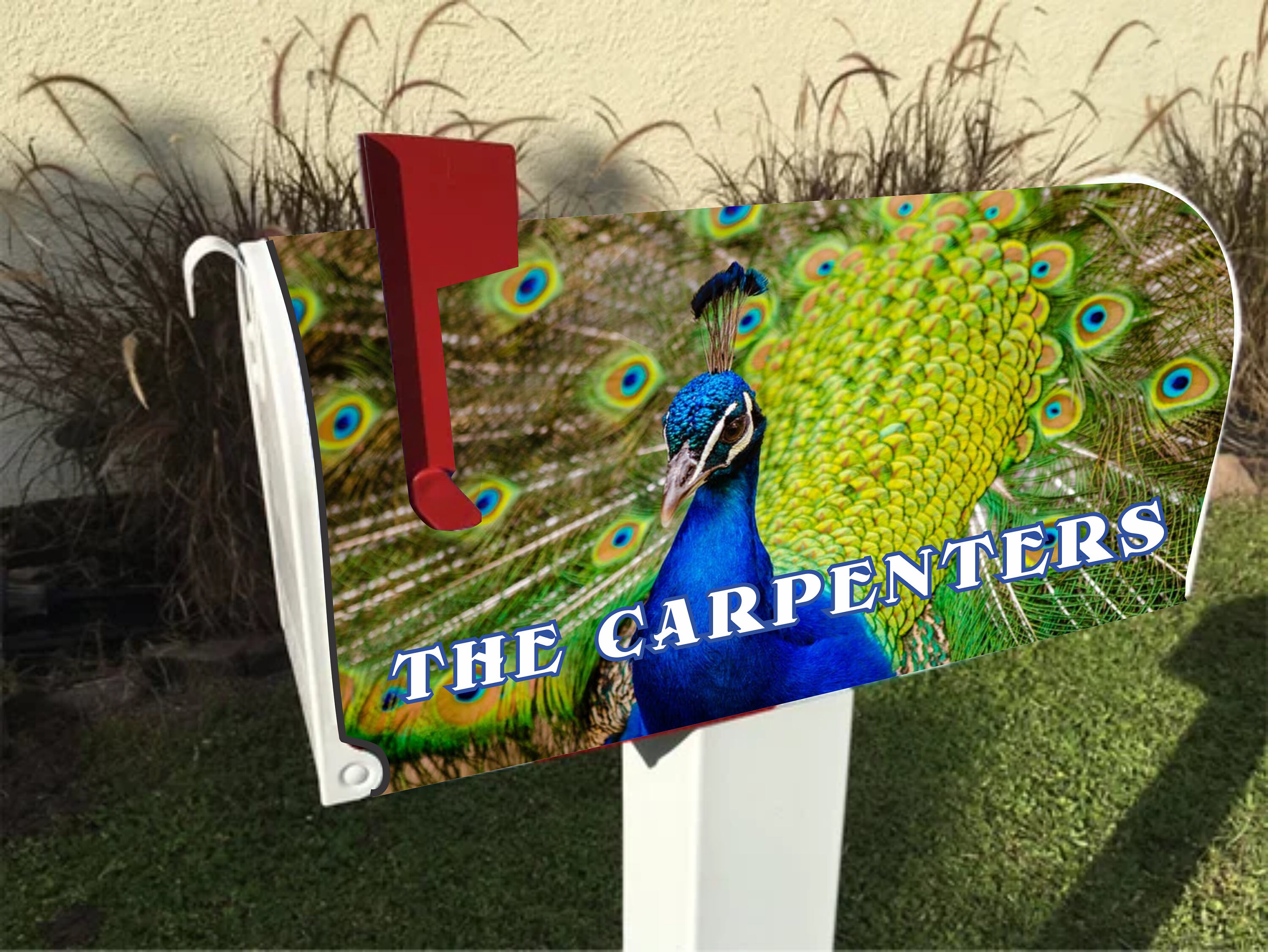 Proud Peacock High Resolution Magnetic Mailbox Cover W/free Shipping ...