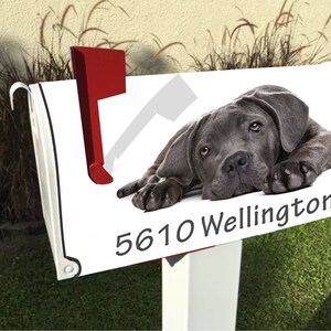 Labrador Puppy Just Chillin' as Your New Mailbox Cover W/free Shipping ...