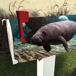 Swimming Manatee High Res Photo Magnetic Mailbox Cover W/free Shipping ...