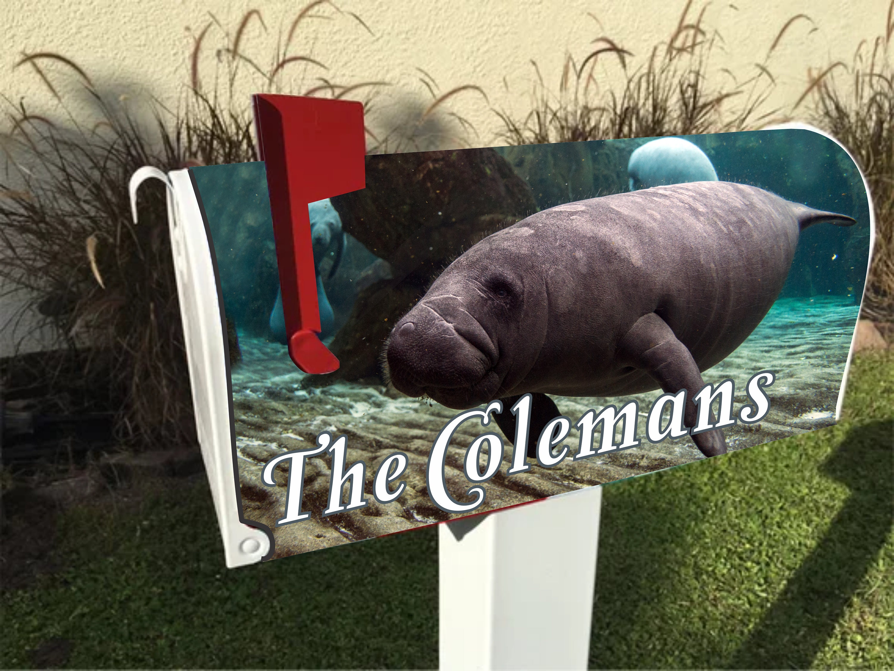 Swimming Manatee High Res Photo Magnetic Mailbox Cover W/free Shipping ...