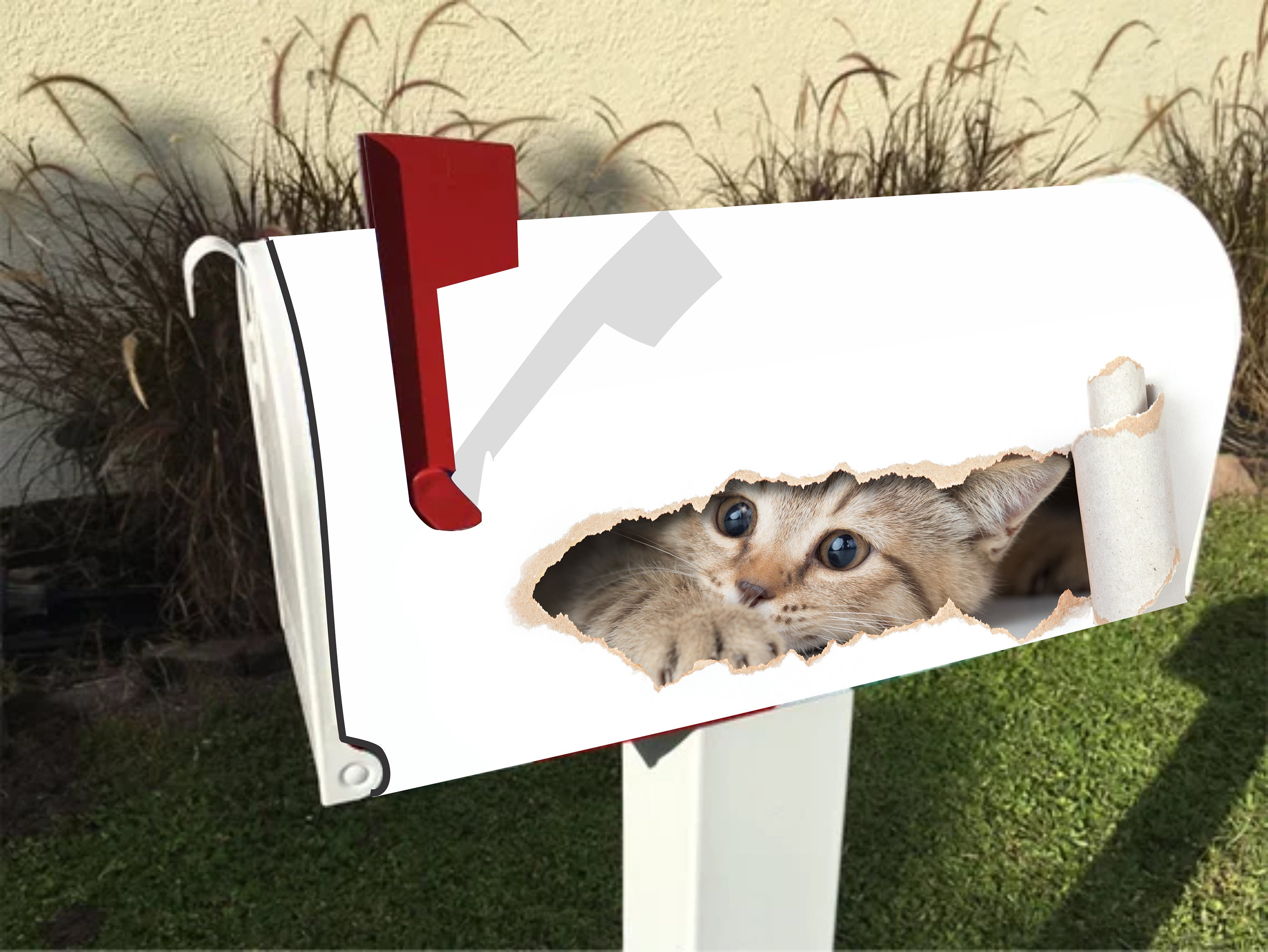 Make 'em Do a Double-take Hidden Kitten Magnetic Mailbox - Etsy
