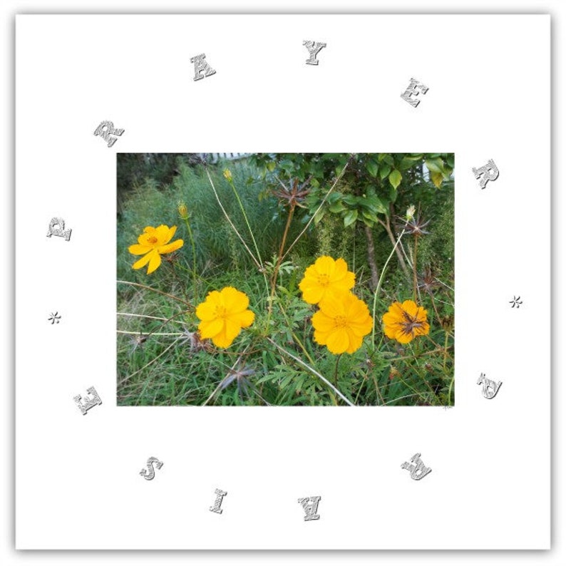 Photography Art - Etsy