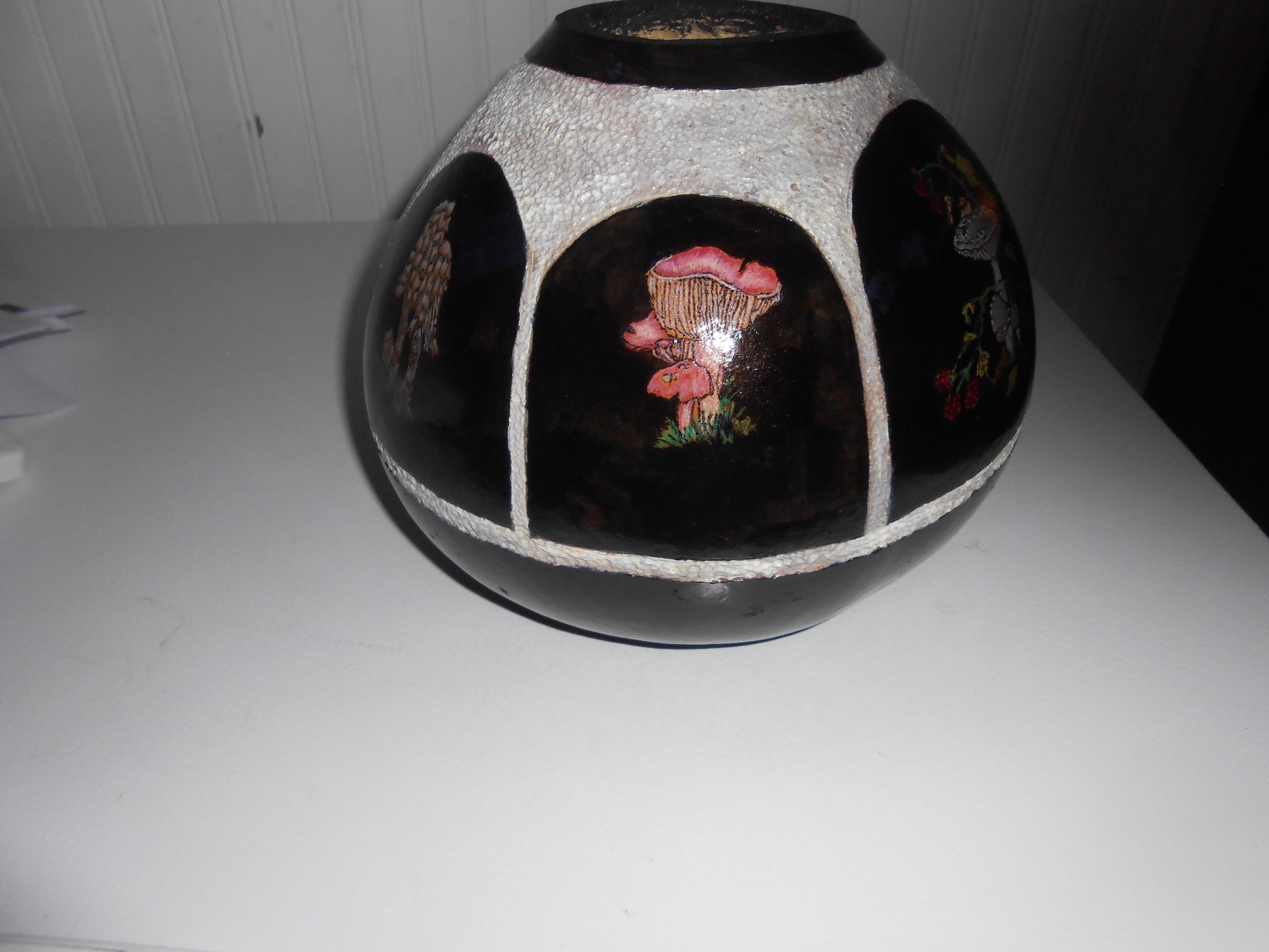 Multi Design Mushroom Art Gourd Colored Pencil Gourd Dye Transparent ...