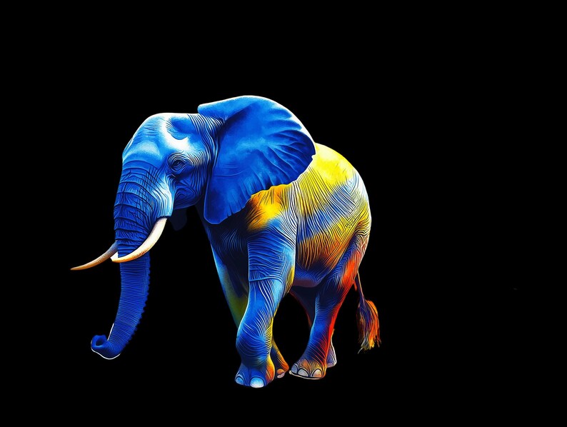 Clip Art Spanish Animal Names From A to Z, Bright Primary Colors - Etsy