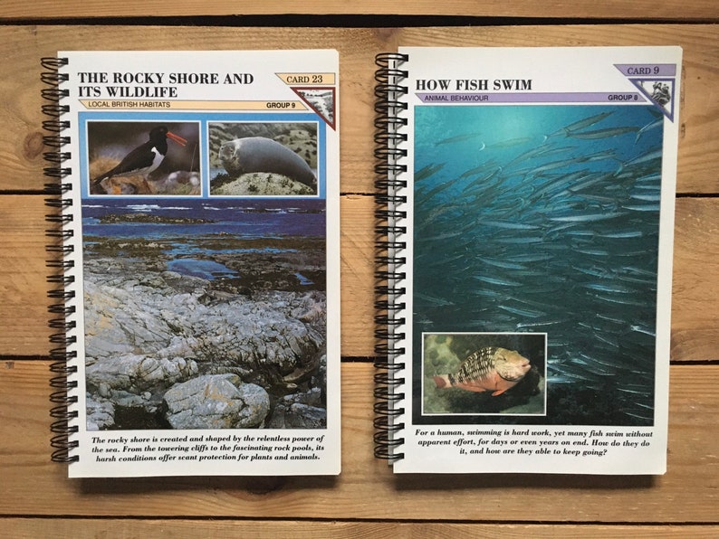 Recycled/upcycled Animals 90s Fact-file Notebook Wildlife - Etsy