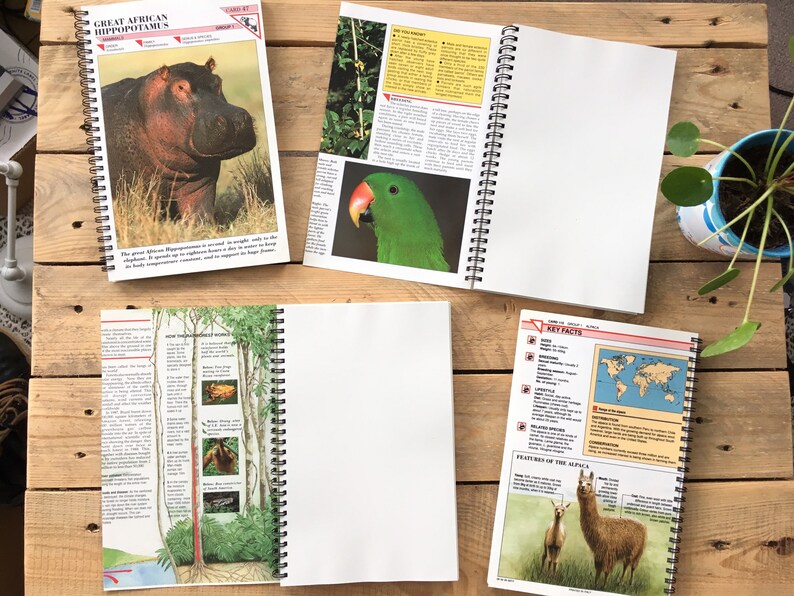 Recycled/upcycled Animals 90s Fact-file Notebook Wildlife | Etsy