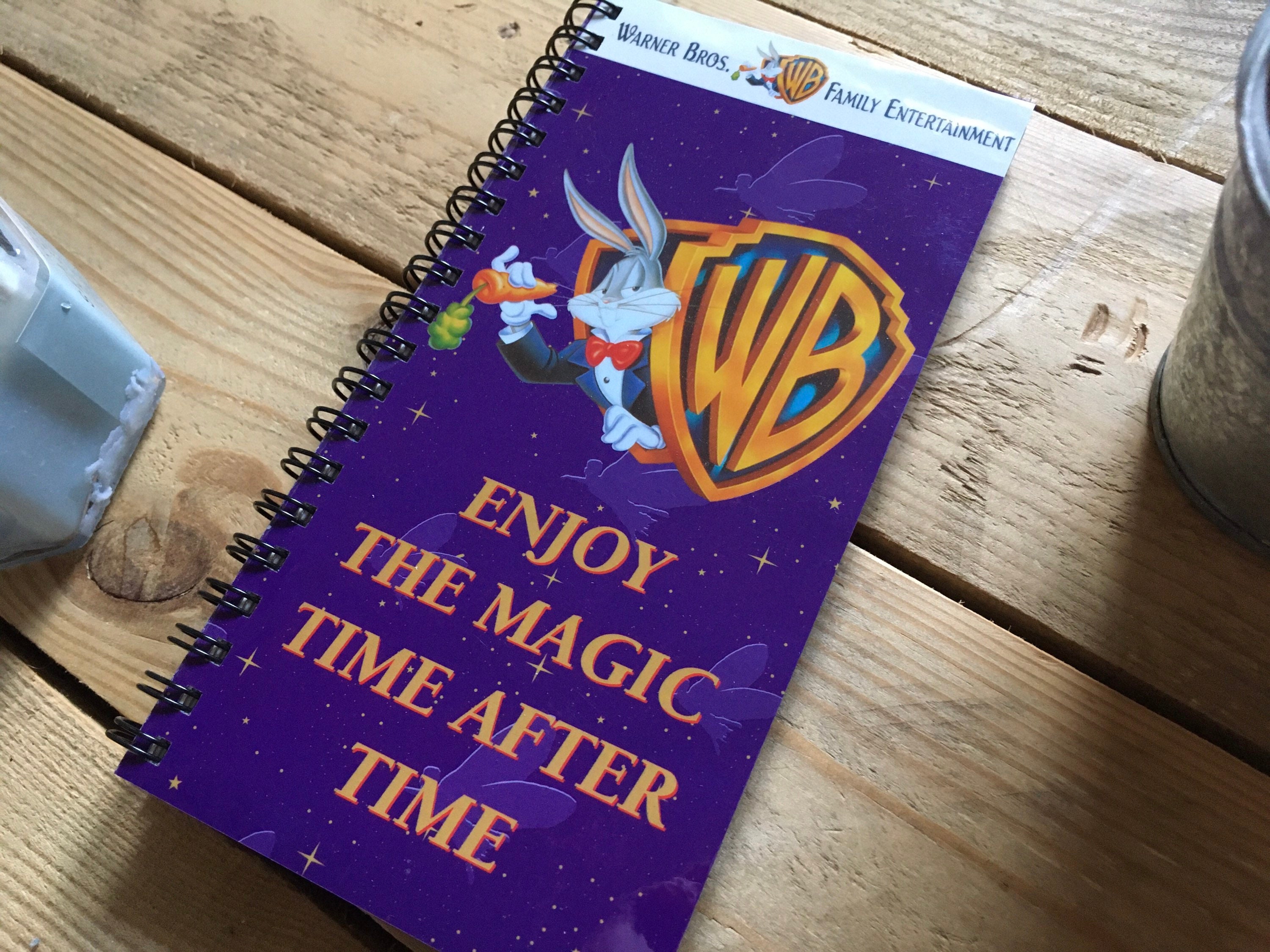 Warner Bros Family Entertainment Logo