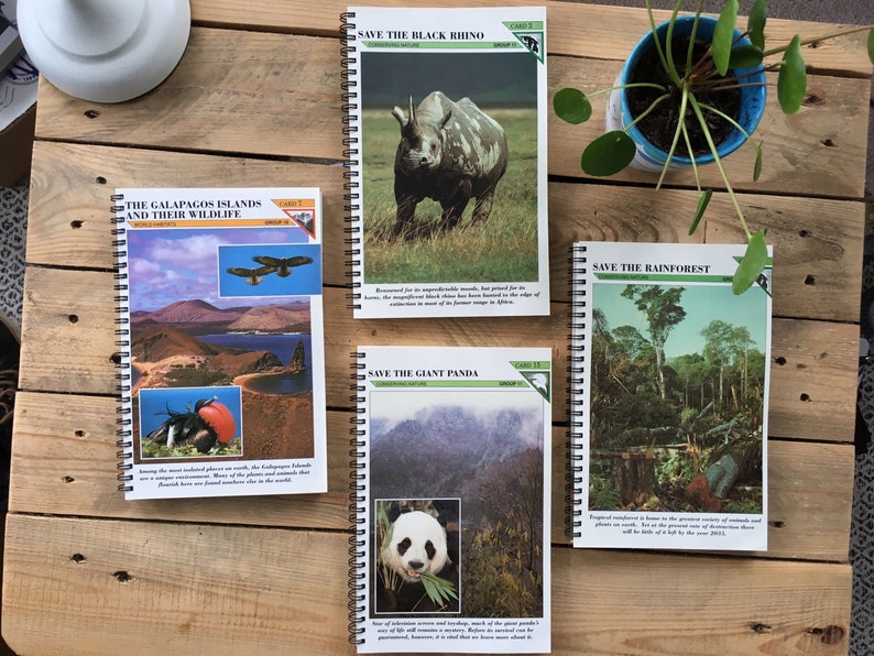 Recycled/upcycled Animals 90s Fact-file Notebook Wildlife | Etsy